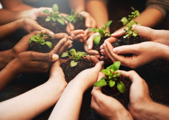 Quienes somos – Ipeges